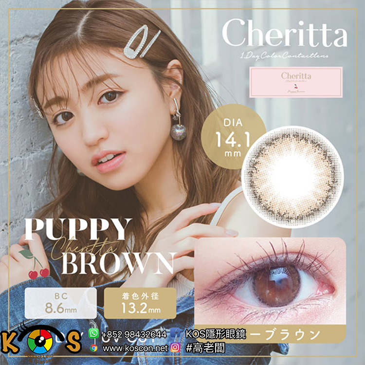 Cheritta 1day Puppy Brown チェリッタワンデー パピーブラウン
