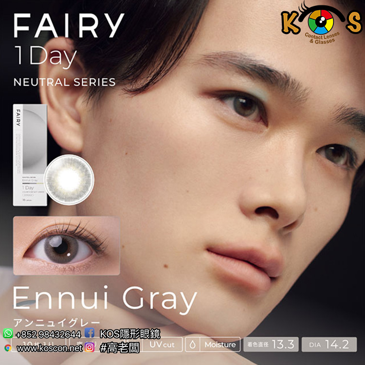FAIRY 1day Neutral series Ennui Gray フェアリーワンデー ニュートラルシリーズ アンニュイグレー